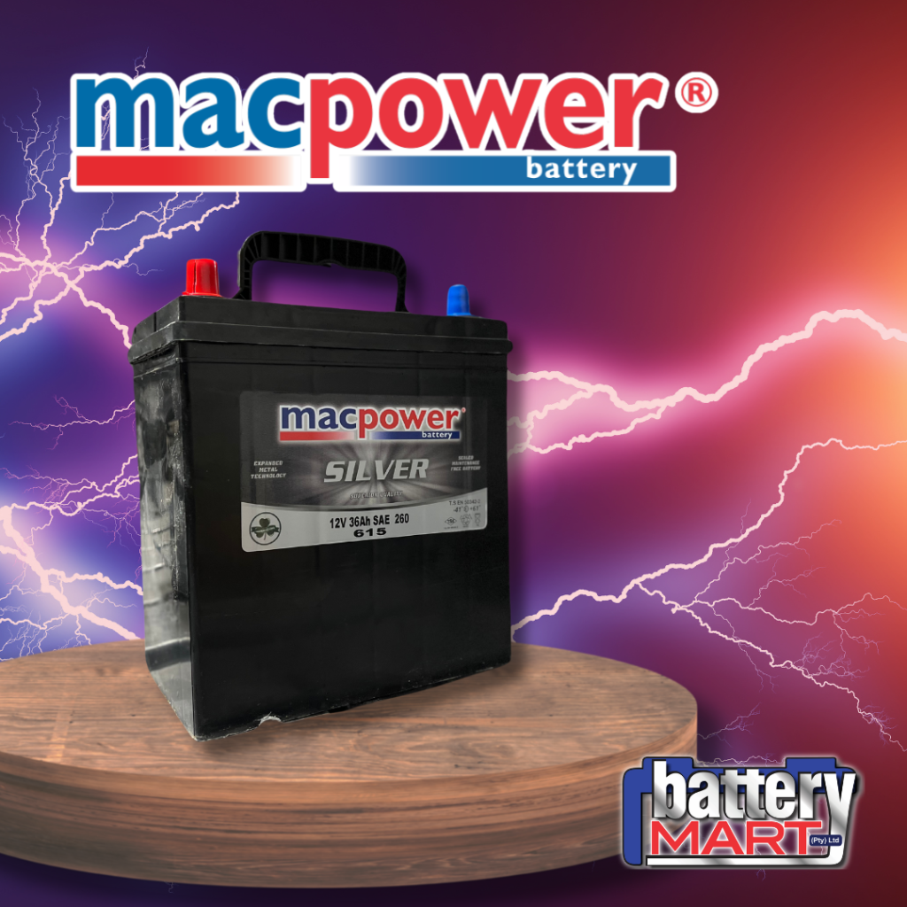 Lithium Ion Batteries – Battery Mart SA